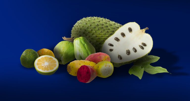 Las frutas endémicas de la Península de Yucatán. - Aztro Desarrollos ...